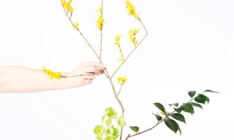 Keisuke Masuda - ghost portraits